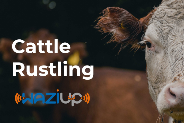 WaziLab Training Centre